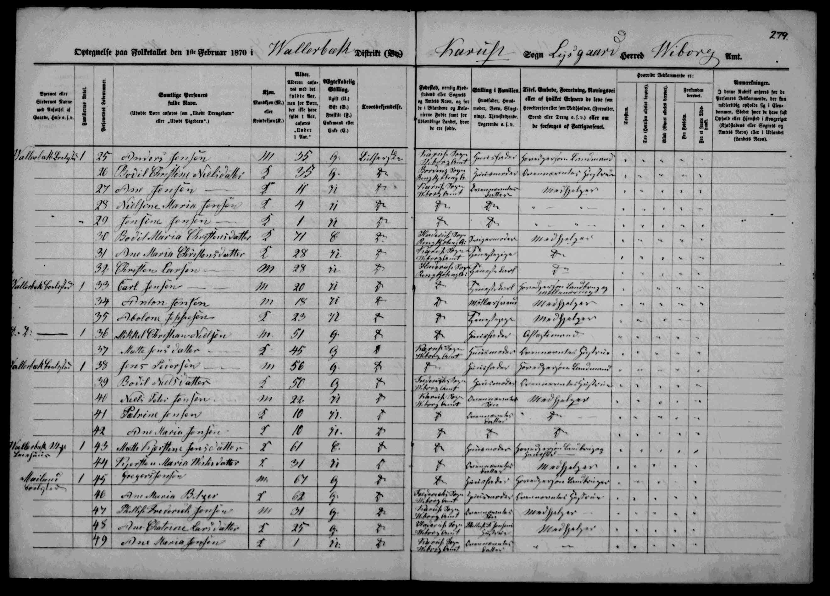 Friede-Abrahamson Genealogy Site - 1870 Denmark Census - Viborg ...